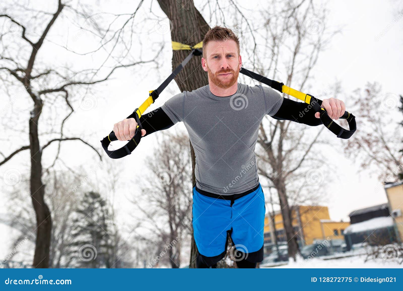 Suspension Training System Wrapped Around a Tree Stock Image - Image of ...