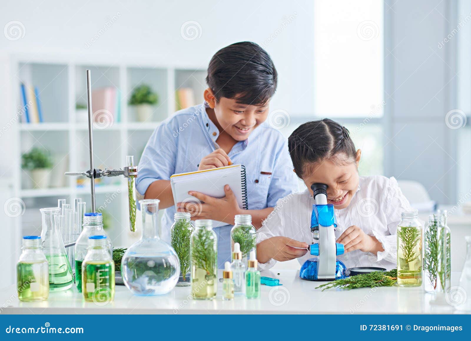 Working in pair stock image. Image of girl, vietnamese - 72381691