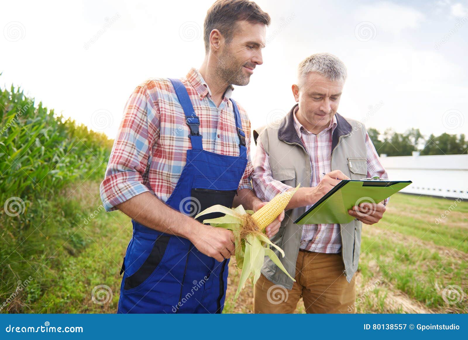 Working Partners at the Farm Stock Image - Image of talking, plant ...