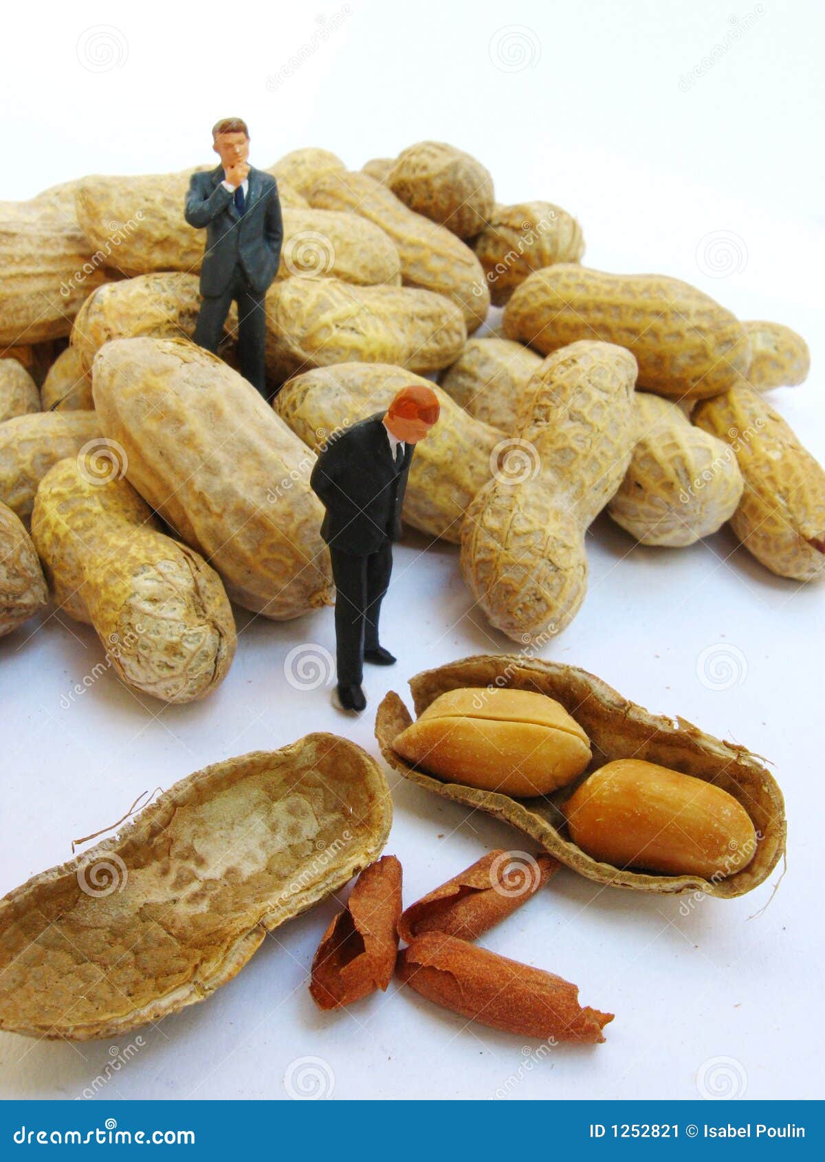 Working for peanuts stock image. Image of dried, salary - 1252821