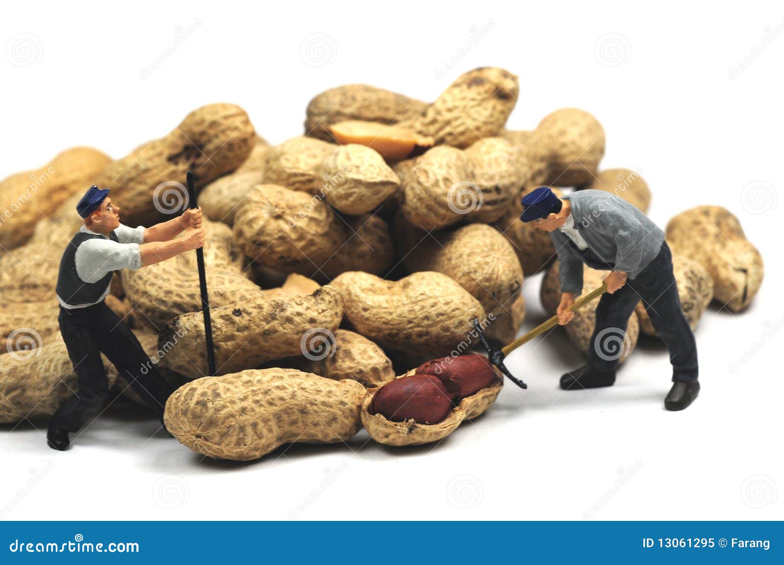 Working for peanuts stock image. Image of business, bills - 13061295