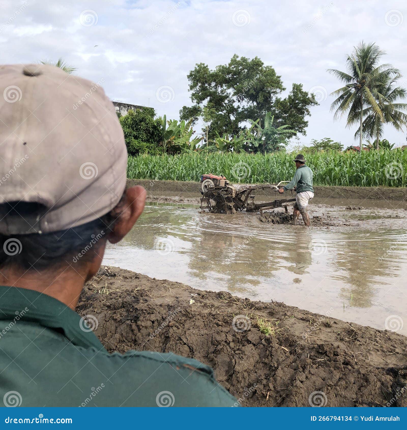 The Farmer Working in Field Editorial Stock Image - Image of farmer ...