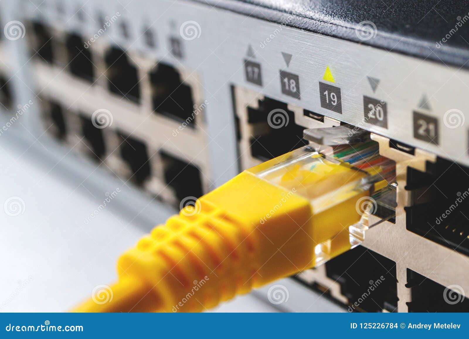 Working 19 Ports of 24 Ports, One Yellow Cable is Inserted into the ...