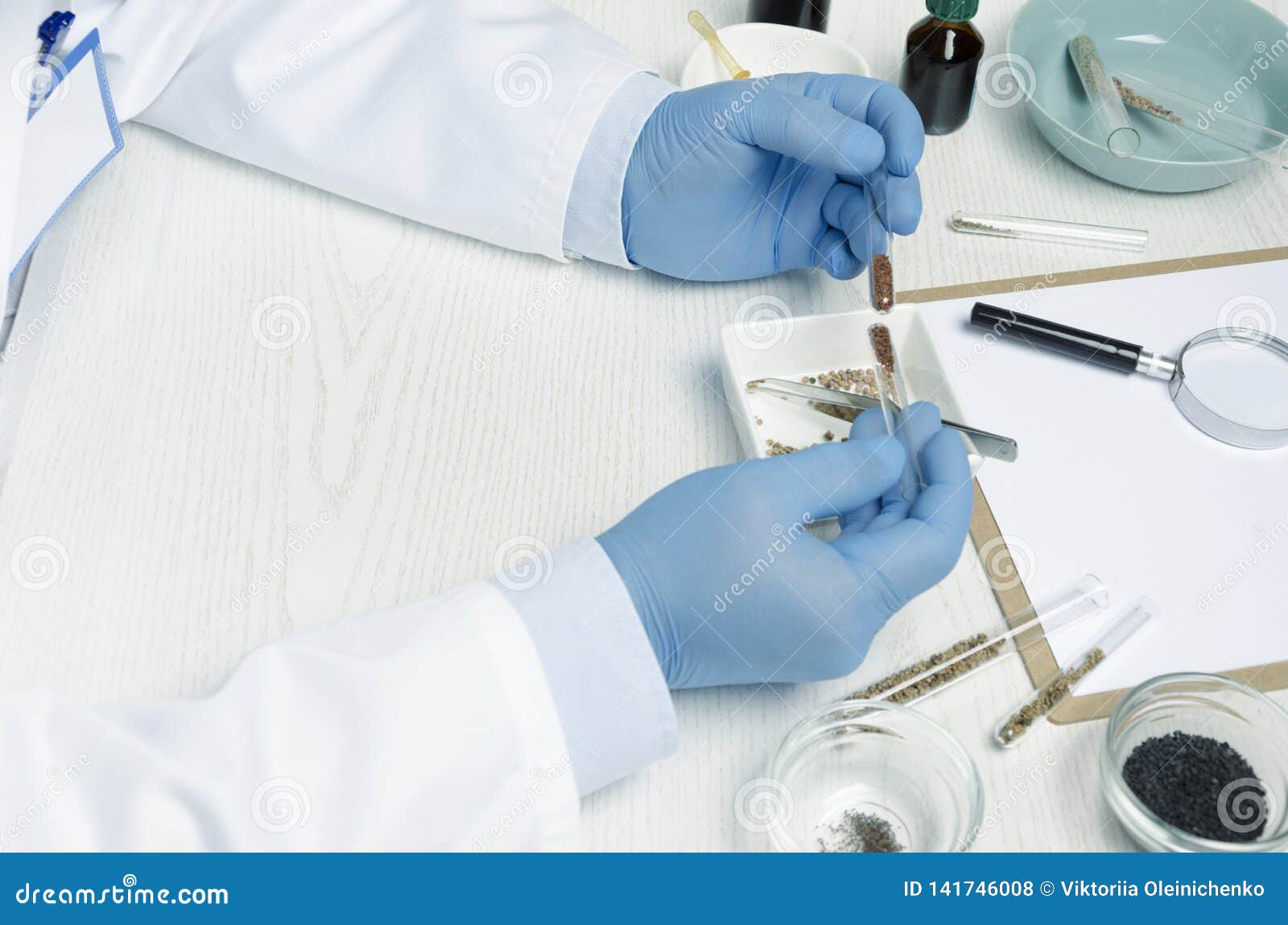 Working Process at the Agronomy Laboratory.Professional Laboratory ...