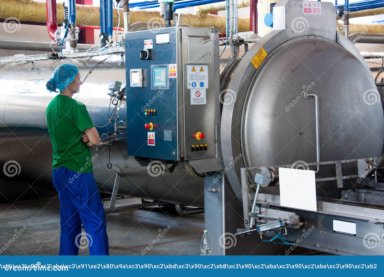 Working Process of the Production of Green Peas on Cannery. Editorial ...