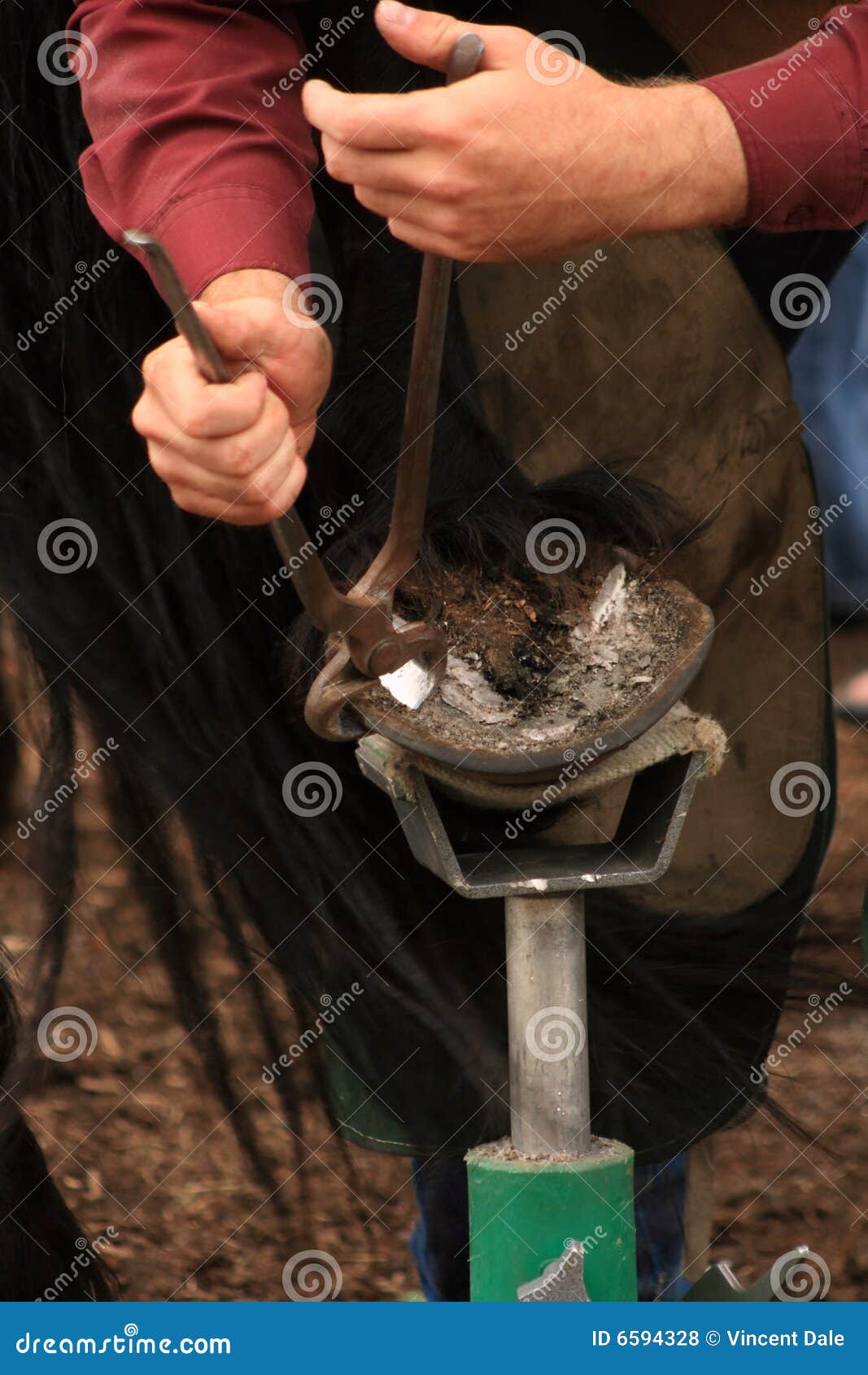 Working on the Ranch stock photo. Image of real, ranch - 6594328