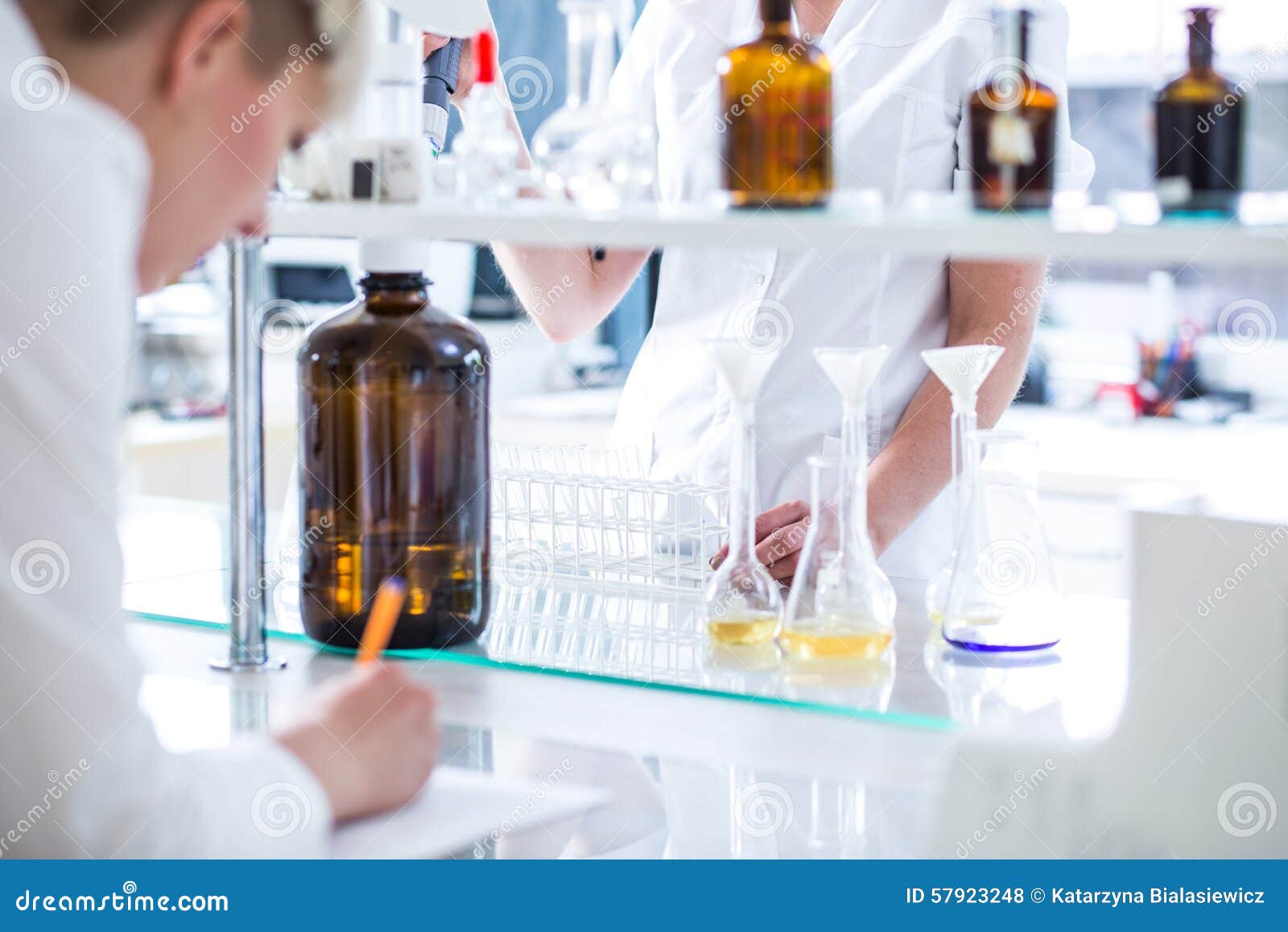 Working in science lab stock photo. Image of female, class - 57923248