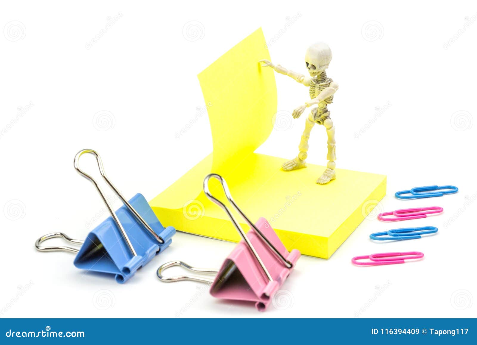 Working skeleton stock image. Image of dying, overtime - 116394409