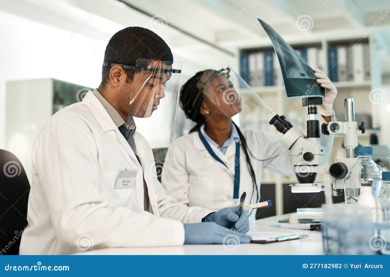 Working through Some Case Files. Two Scientists Working Together in a ...