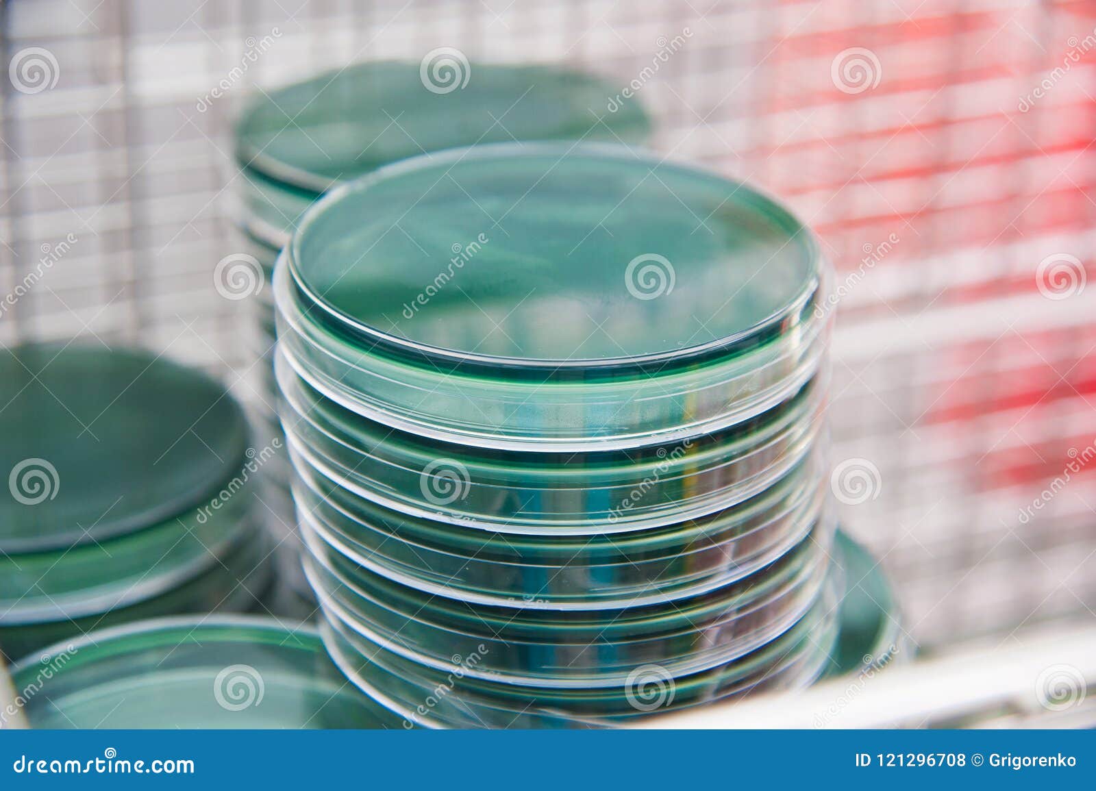 Microbiology Research in Laboratory Stock Photo - Image of test ...