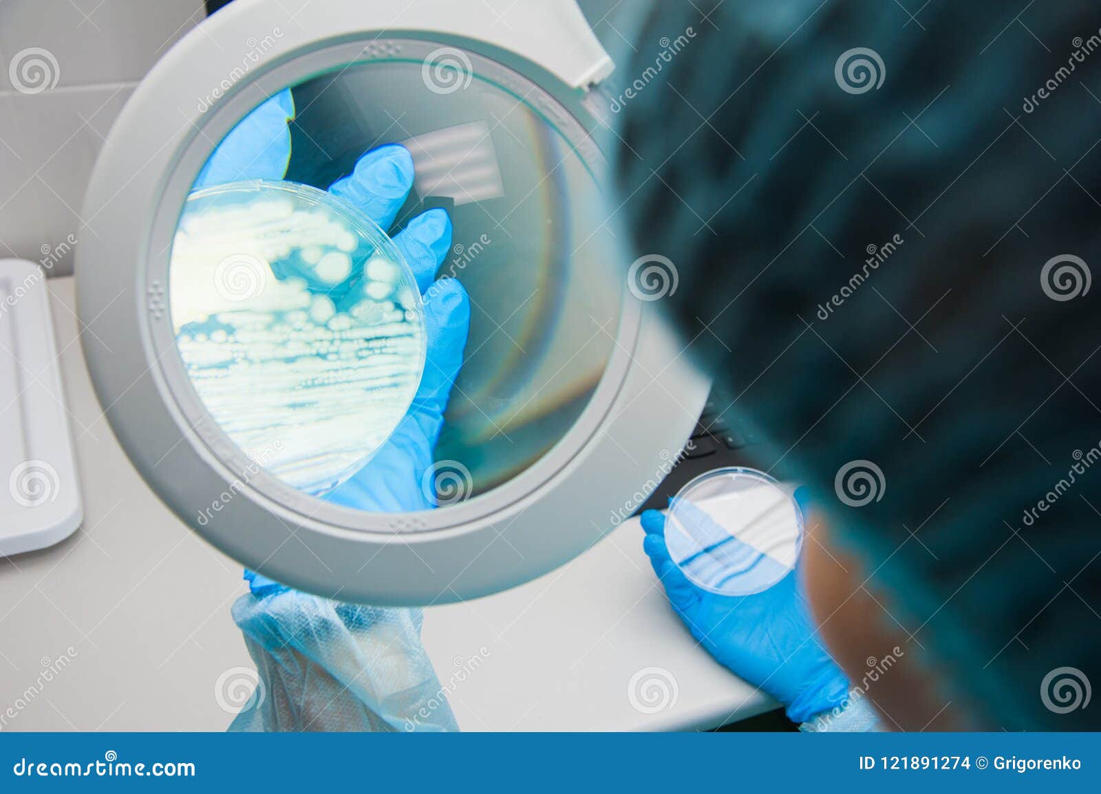 Microbiology Research in Laboratory Stock Photo - Image of experiment ...
