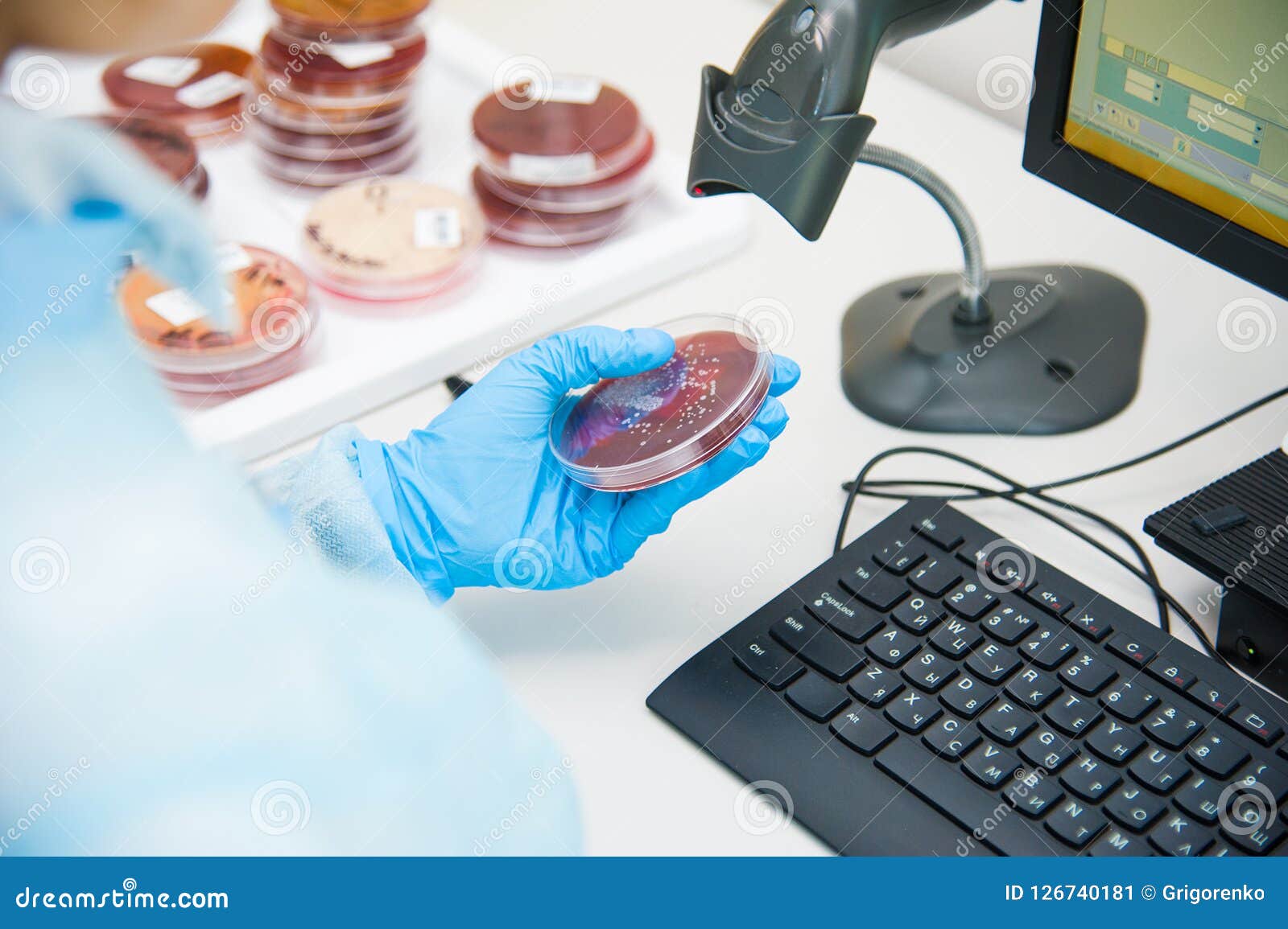 Microbiology Research in Laboratory Stock Image - Image of culture ...