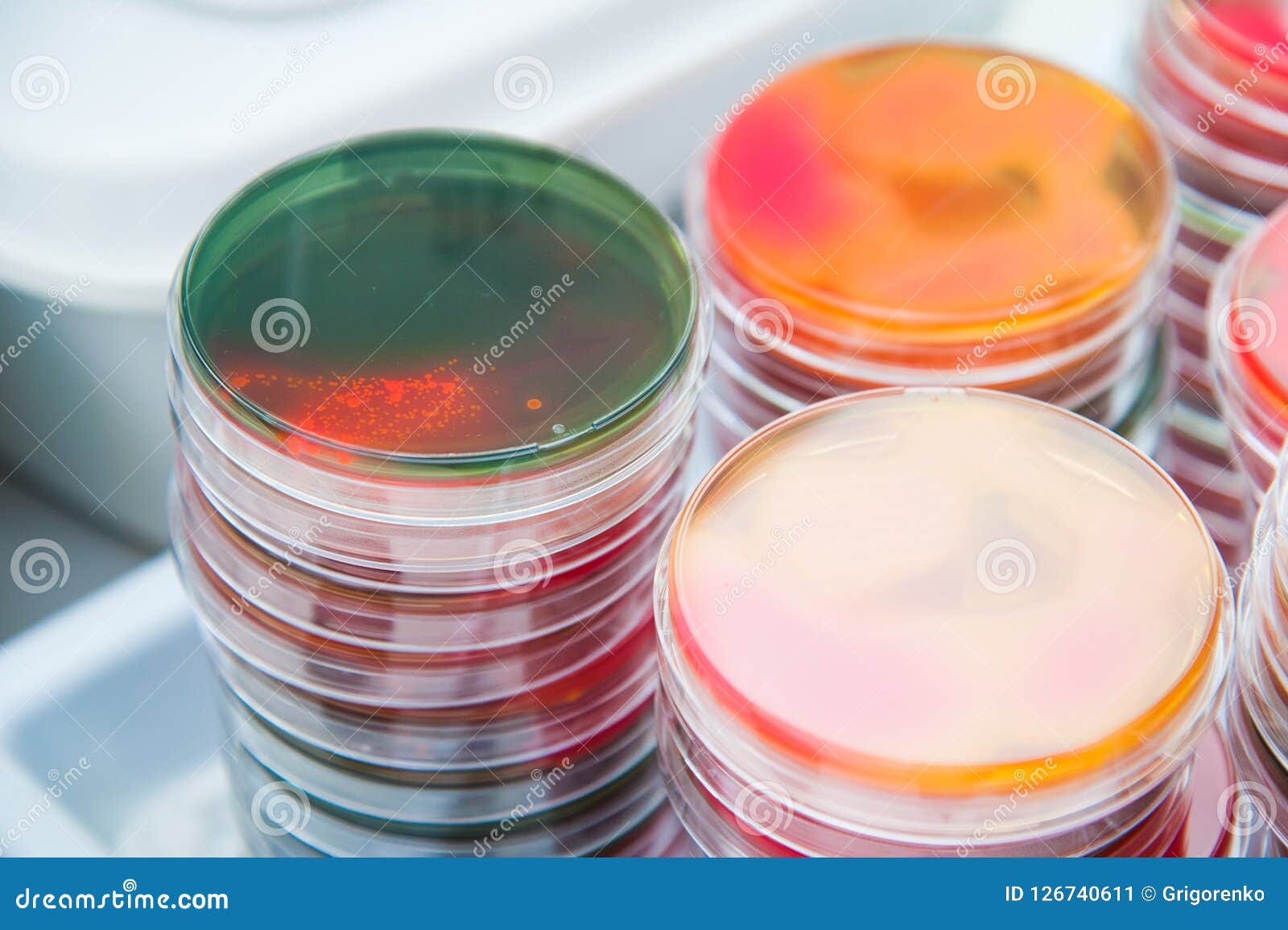 Microbiology Research in Laboratory Stock Image - Image of bacteria ...