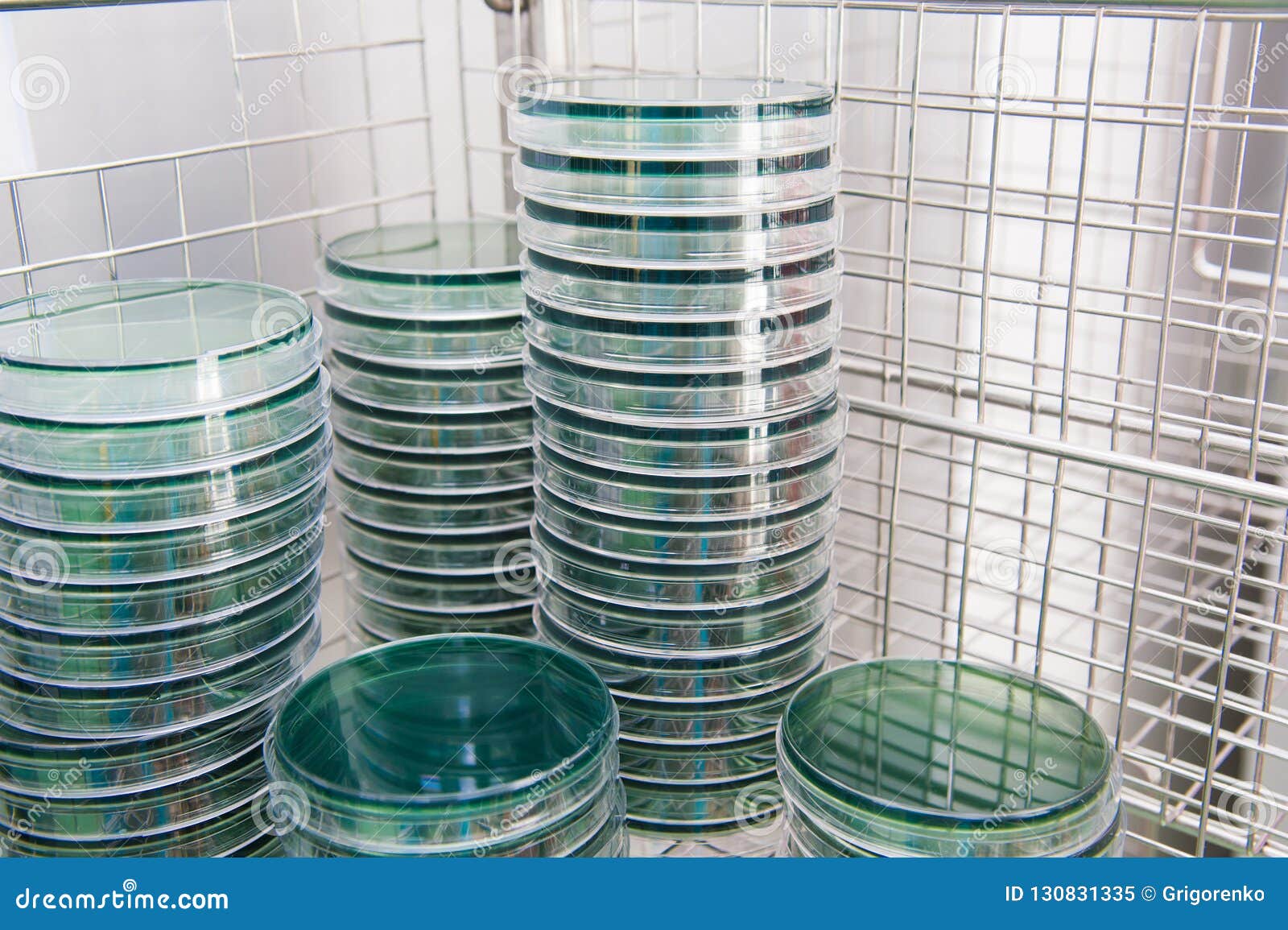 Microbiology Research in Laboratory Stock Image - Image of scientist ...