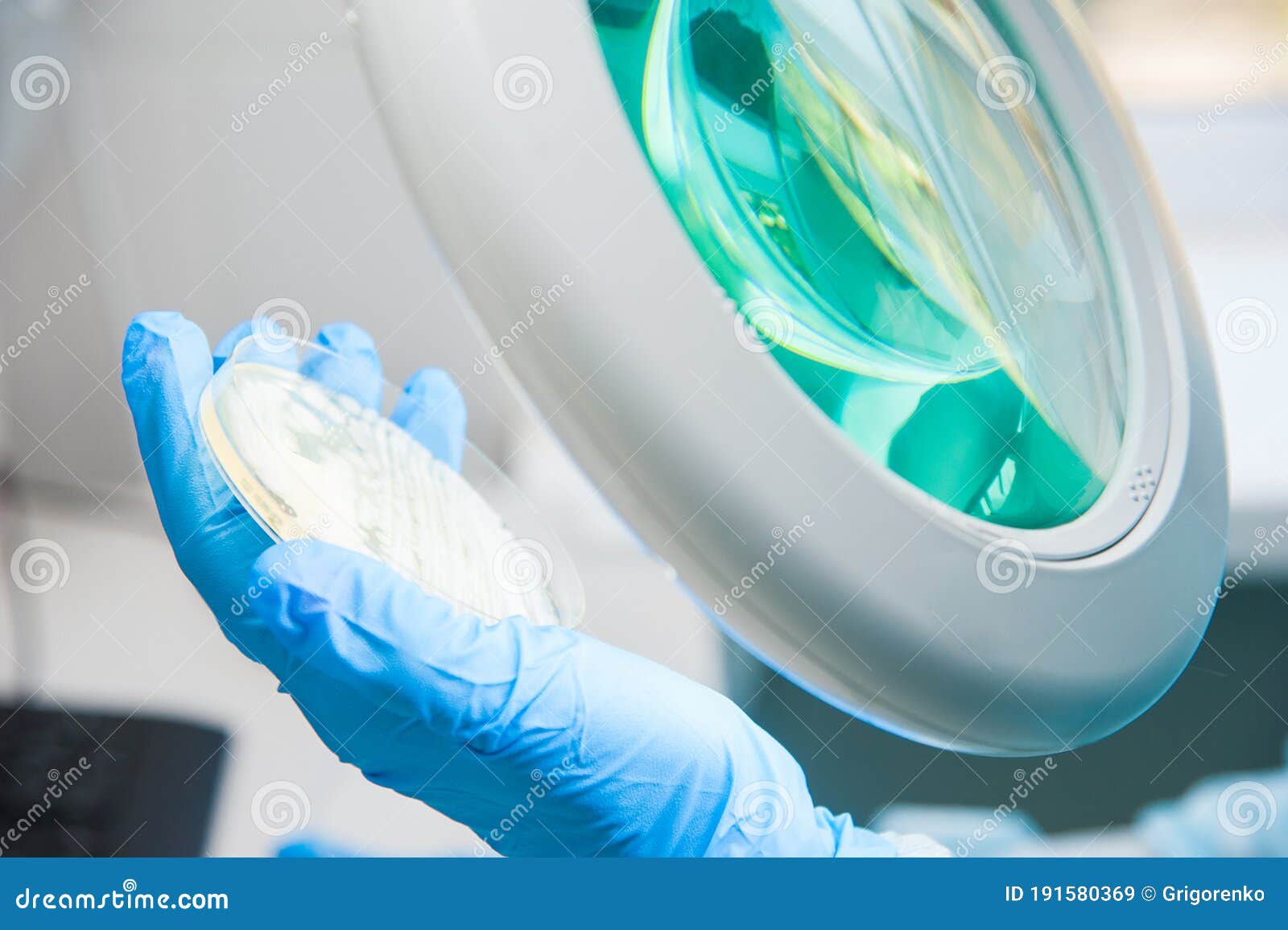 Microbiology Research in Laboratory Stock Image - Image of drug ...