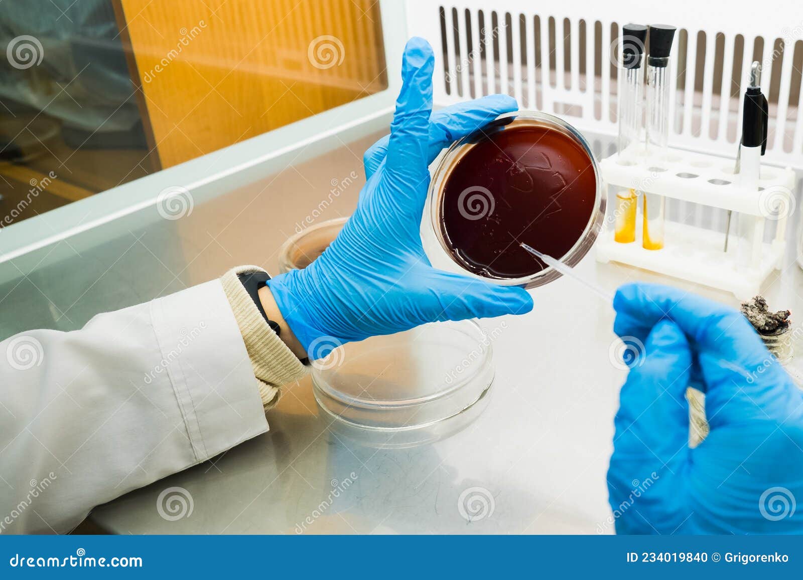 Microbiology Research in Laboratory Stock Photo - Image of technology ...