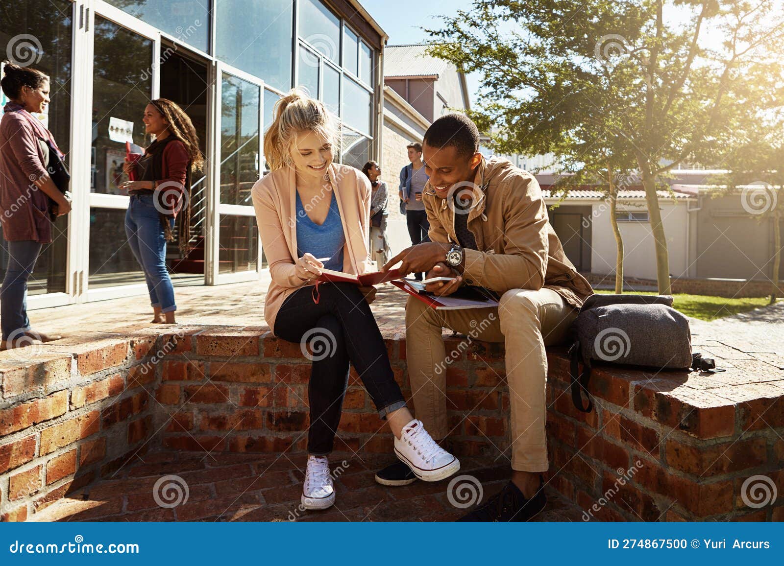 Working Towards a Bright Future. Two Students Studying Together on ...