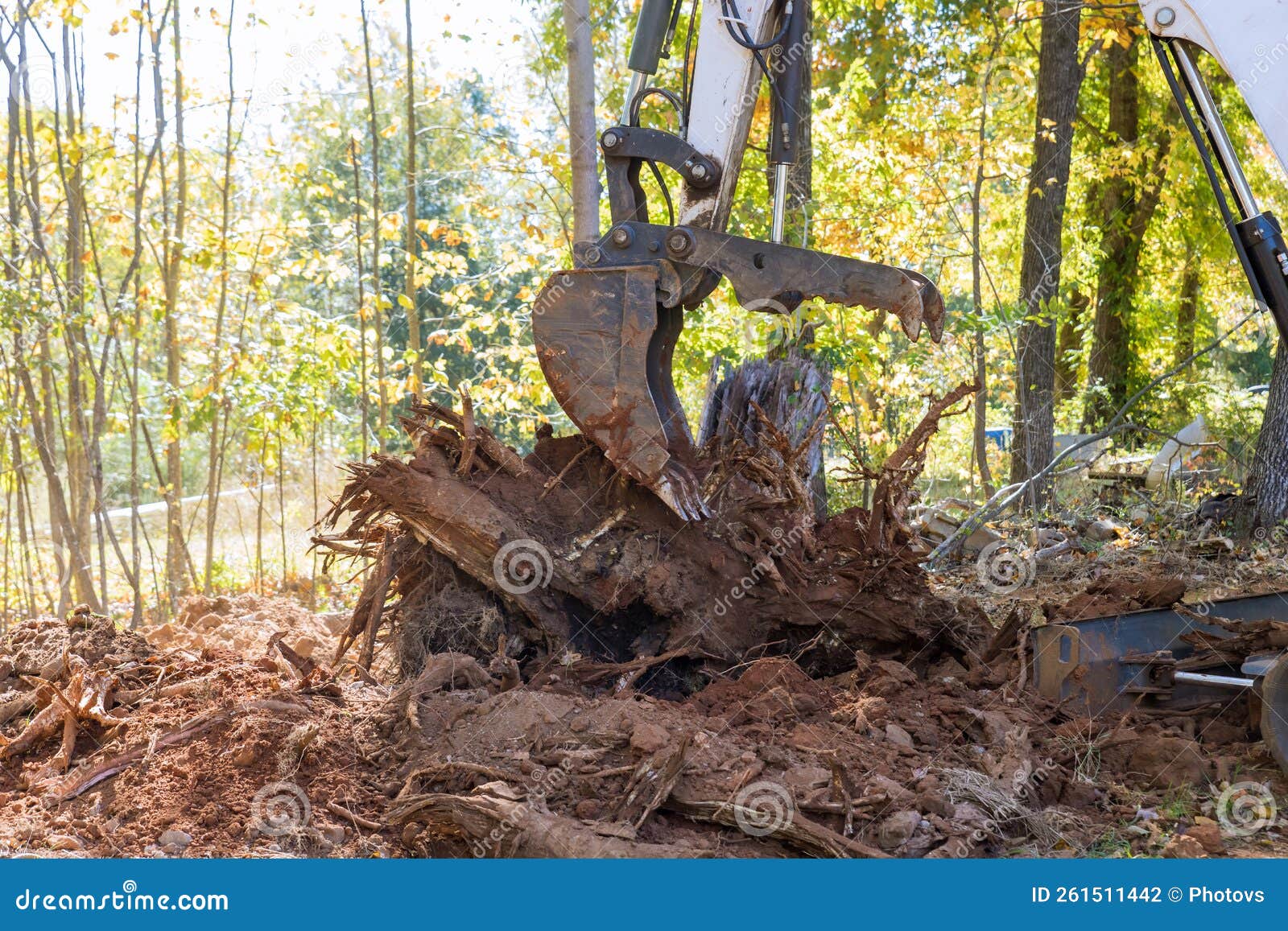 Working with a Tractor during Deforestation and Landscaping for the ...