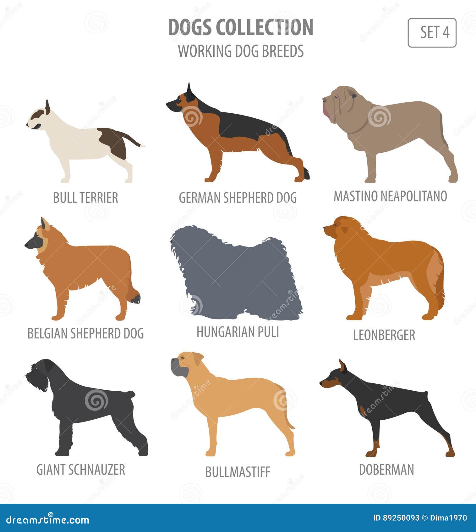 Sporting Dog Breeds