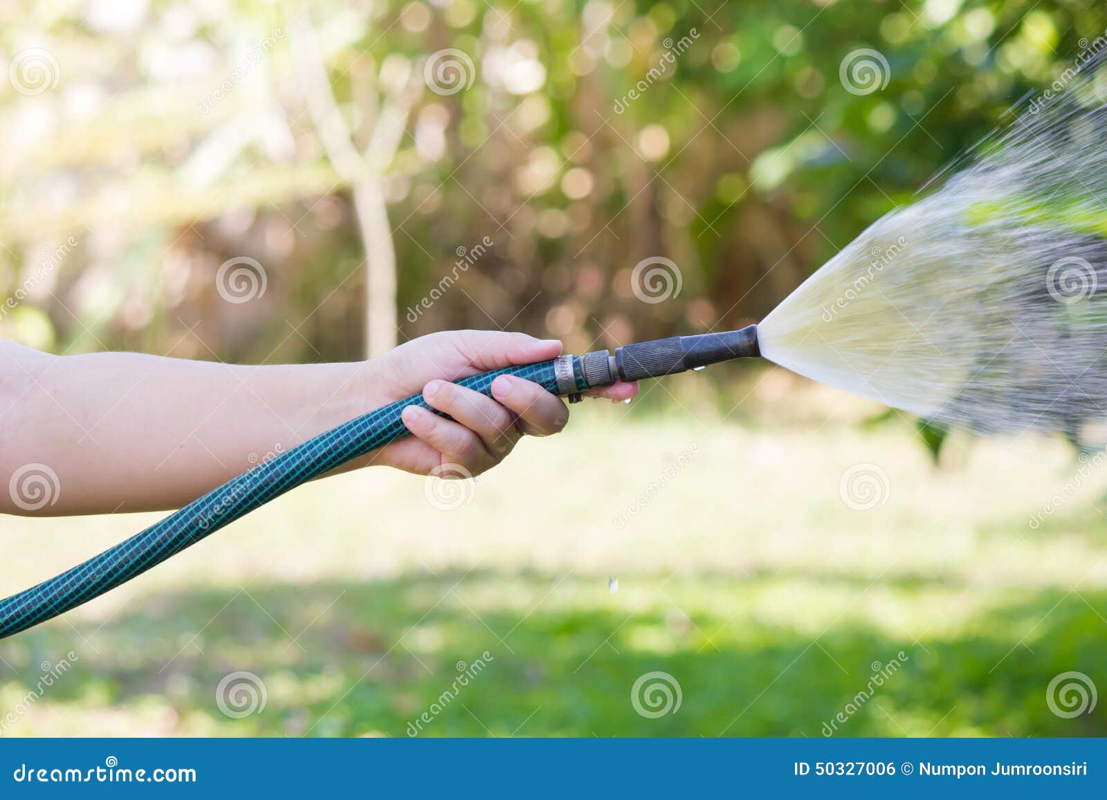 Working Watering Garden from Hose Stock Photo - Image of garden, lawn ...