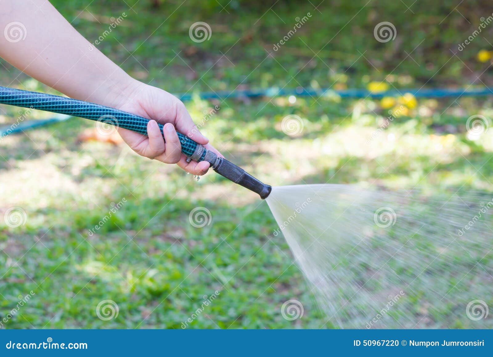 Working Watering Garden from Hose Stock Photo - Image of hose, cleaning ...