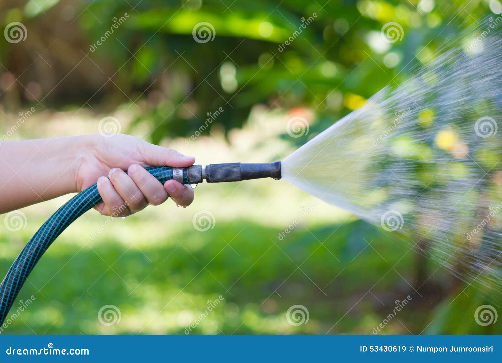 Working Watering Garden from Hose Stock Image - Image of nature, hose ...