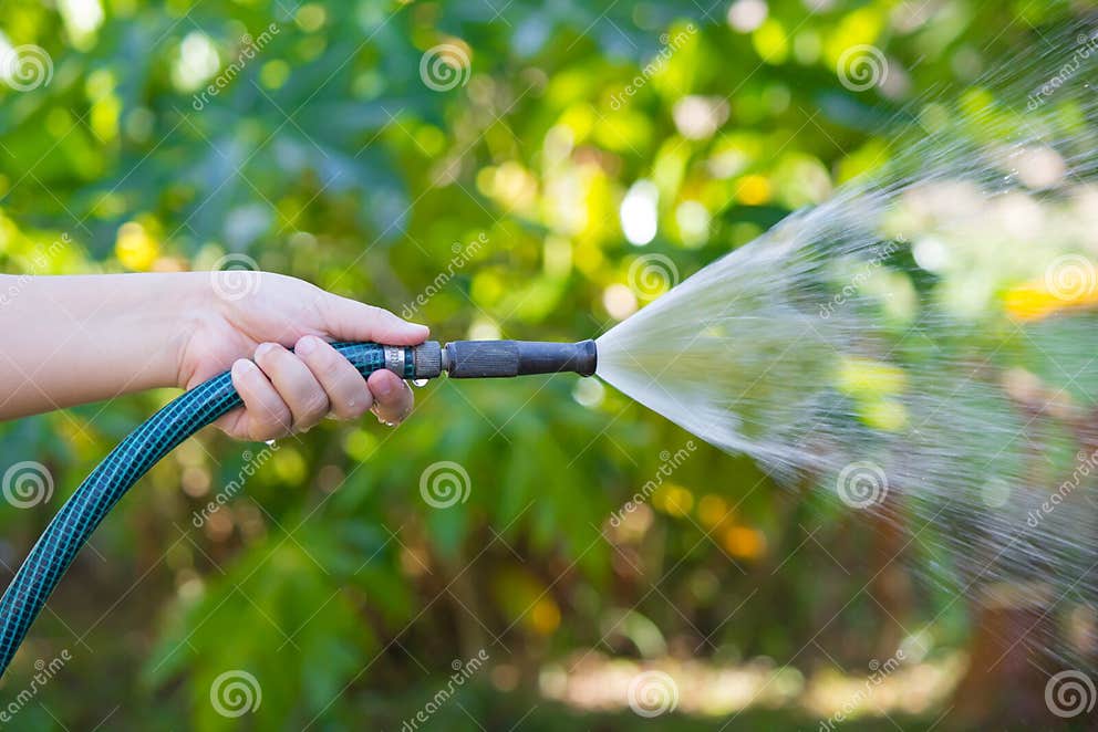 Working Watering Garden from Hose Stock Image - Image of equipment ...