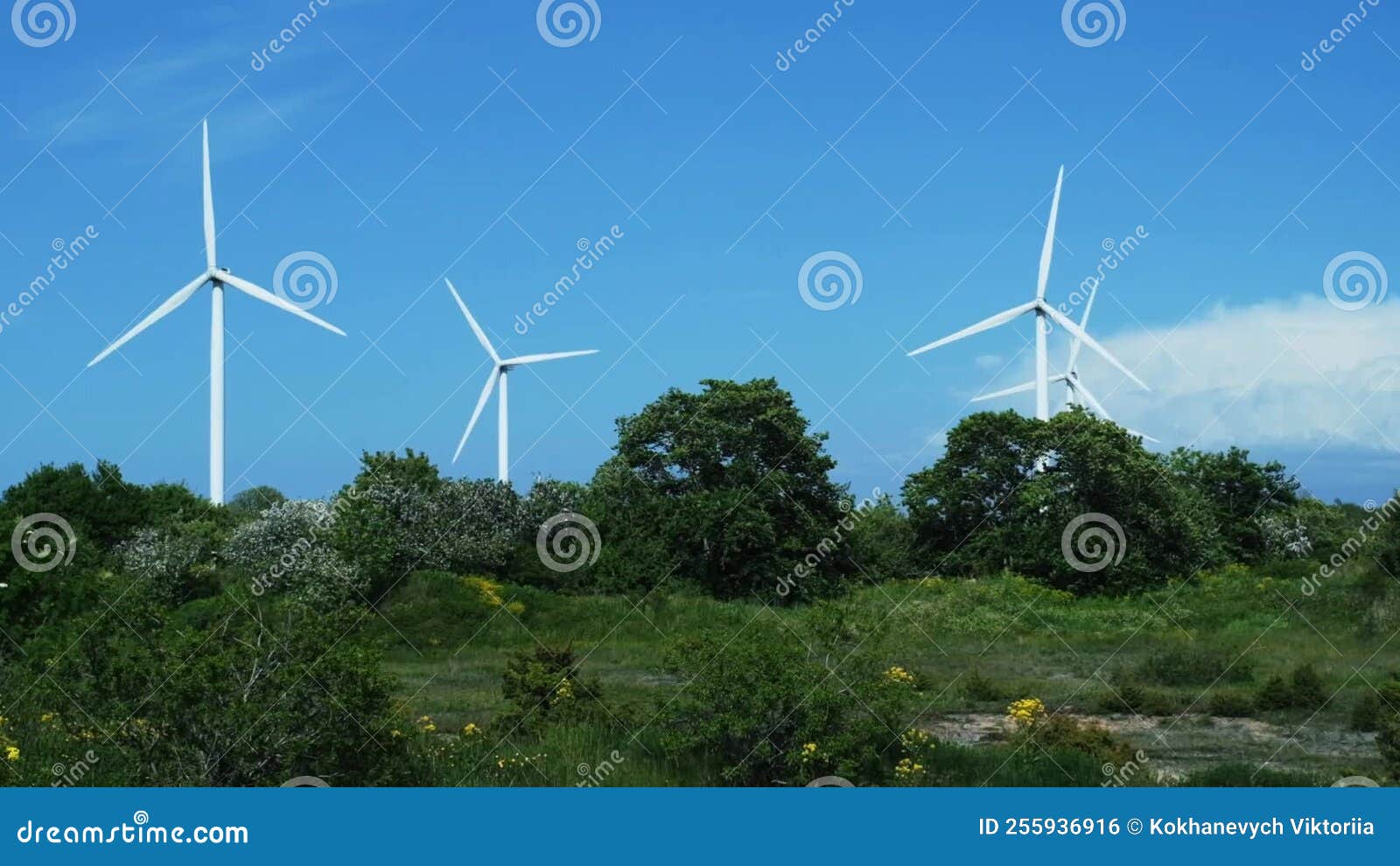 Working Wind Farms in Clear Weather Behind the Trees Stock Footage ...