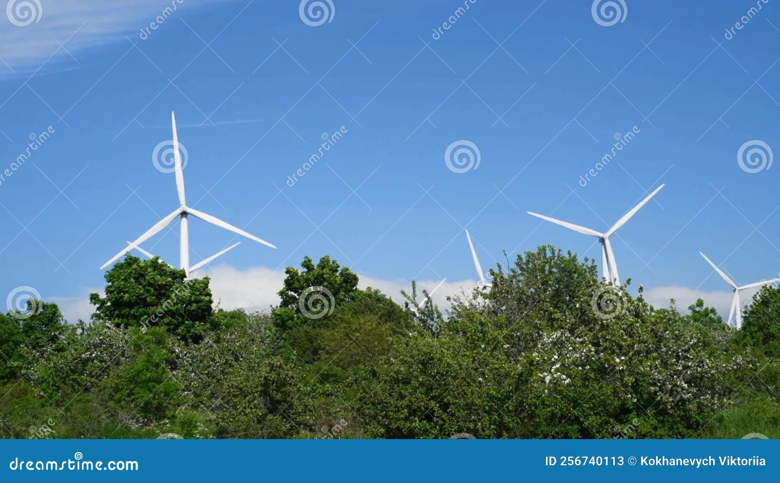 Working Wind Farms in Clear Weather Behind the Trees Stock Video ...