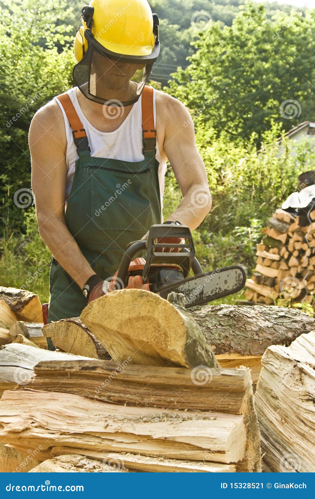 Working with wood stock image. Image of handwork, logs - 15328521