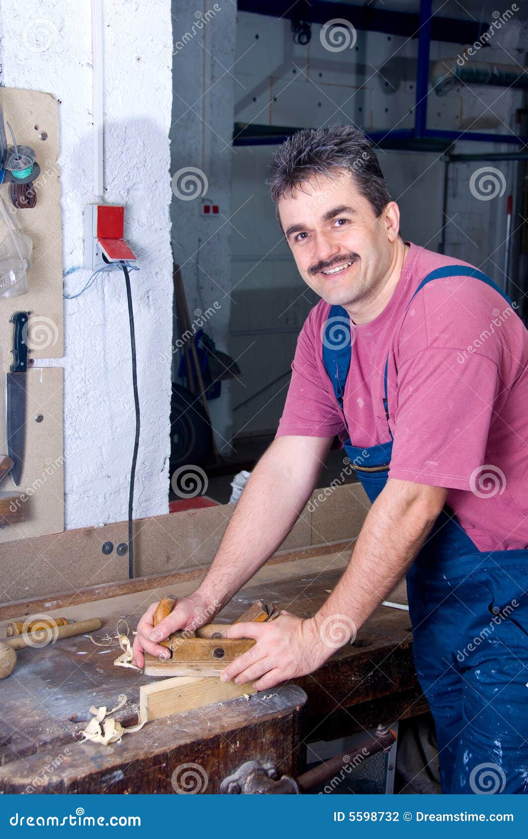 Workman stock photo. Image of craftsman, timber, occupation - 5598732