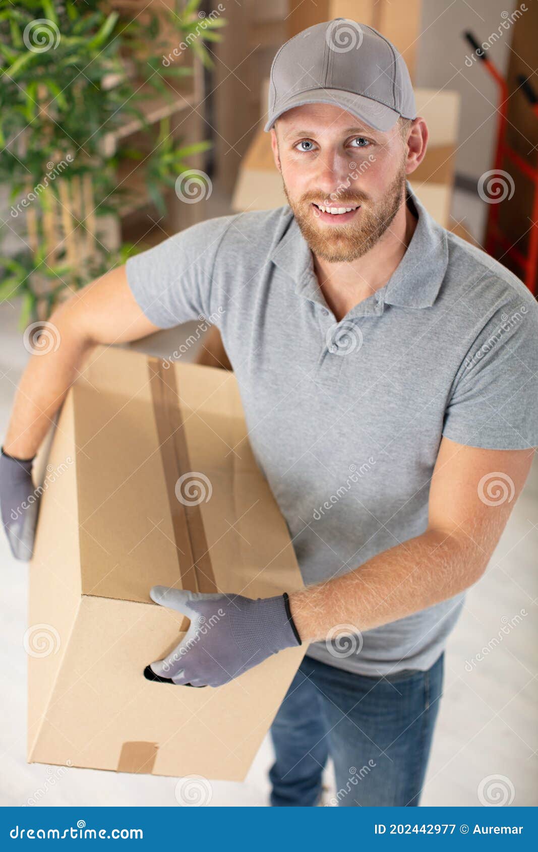 Workman Holding Cardboard Box Stock Image - Image of highangle ...