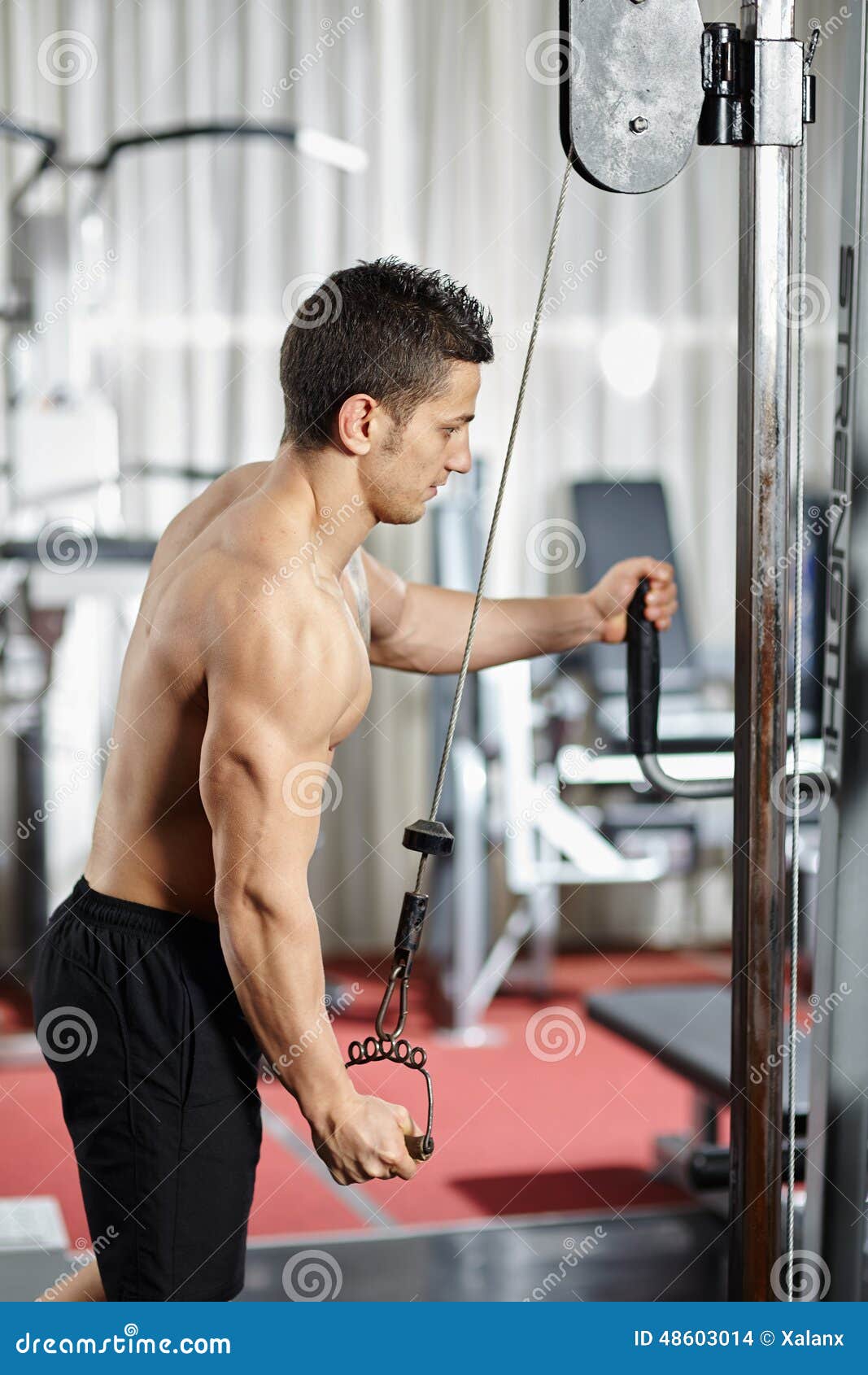 Workout at cable machine stock photo. Image of lifestyle - 48603014