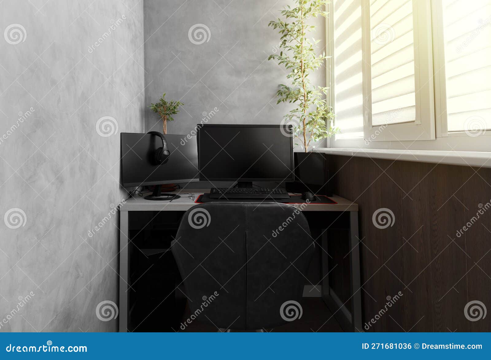 Workplace of a programmer stock photo. Image of laptop - 271681036