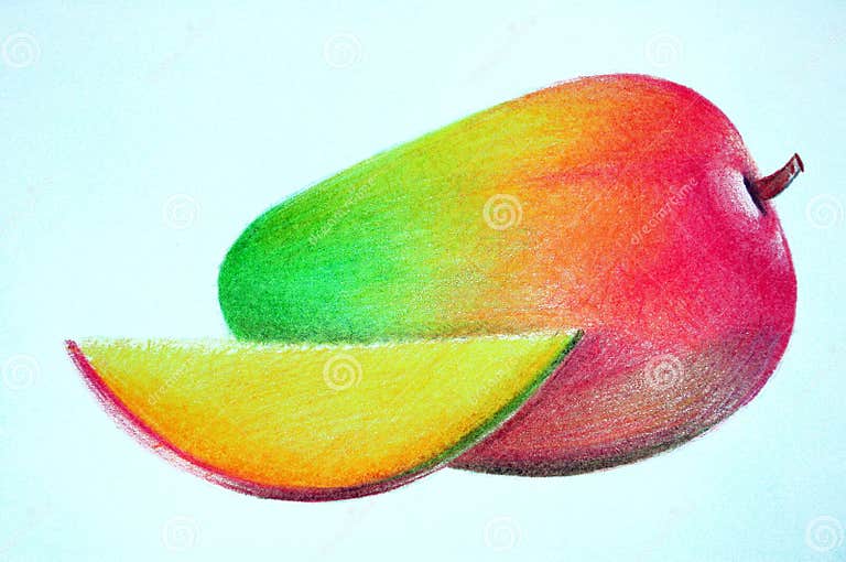 Mango, Drawing Fruit, Crayon, Fresh Editorial Stock Photo - Image of ...