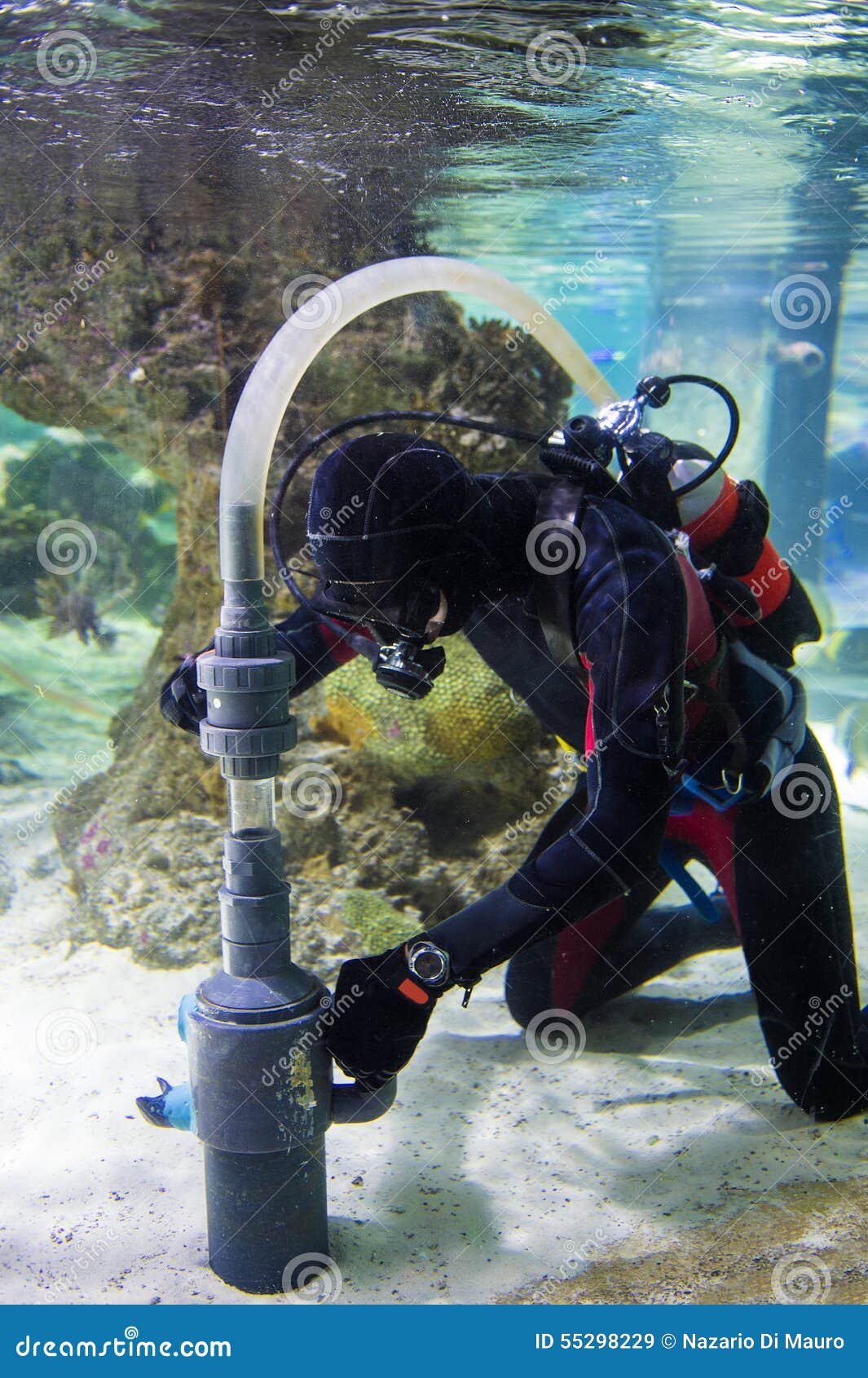 Works under water stock image. Image of cleaning, pollution - 55298229