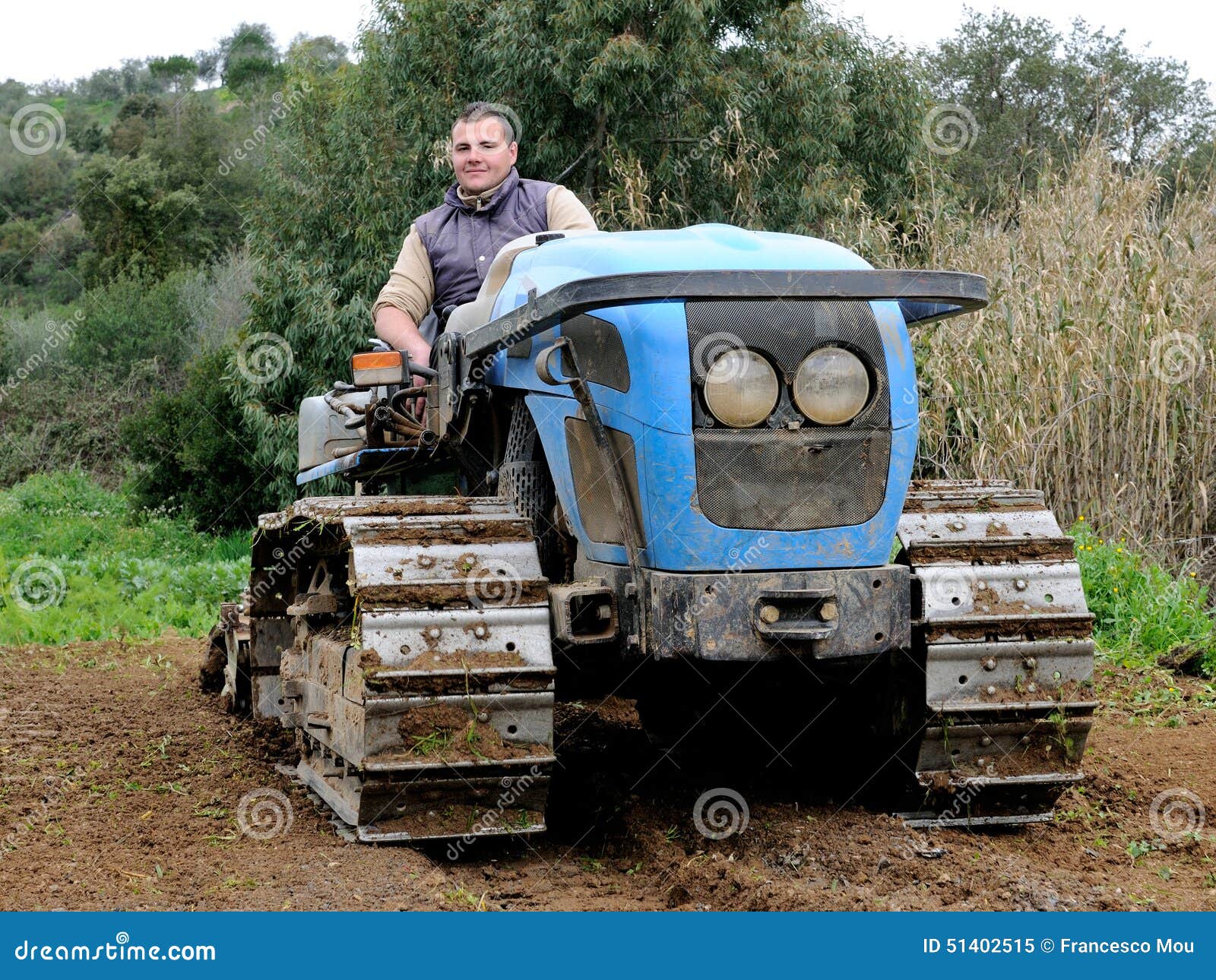 Works from the Vegetable Garden Stock Image - Image of growing, farm ...