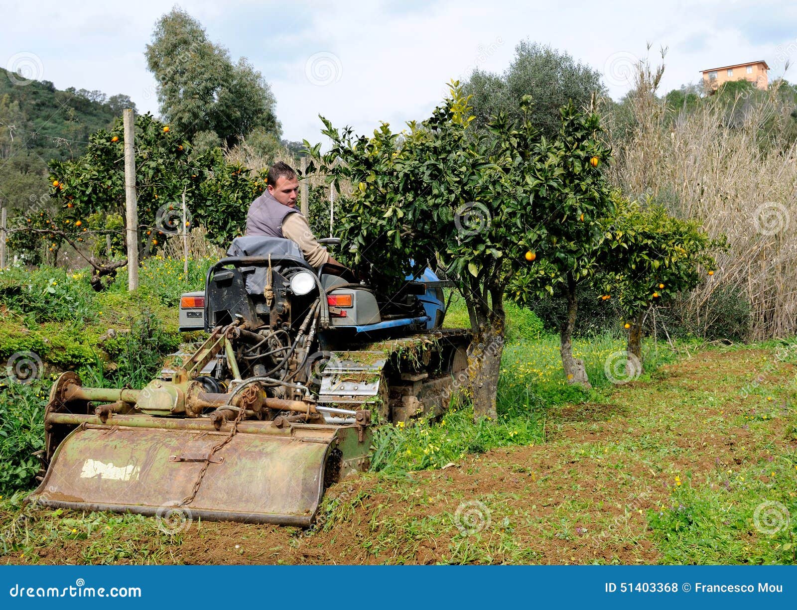Works from the Vegetable Garden Stock Photo - Image of cultivating ...