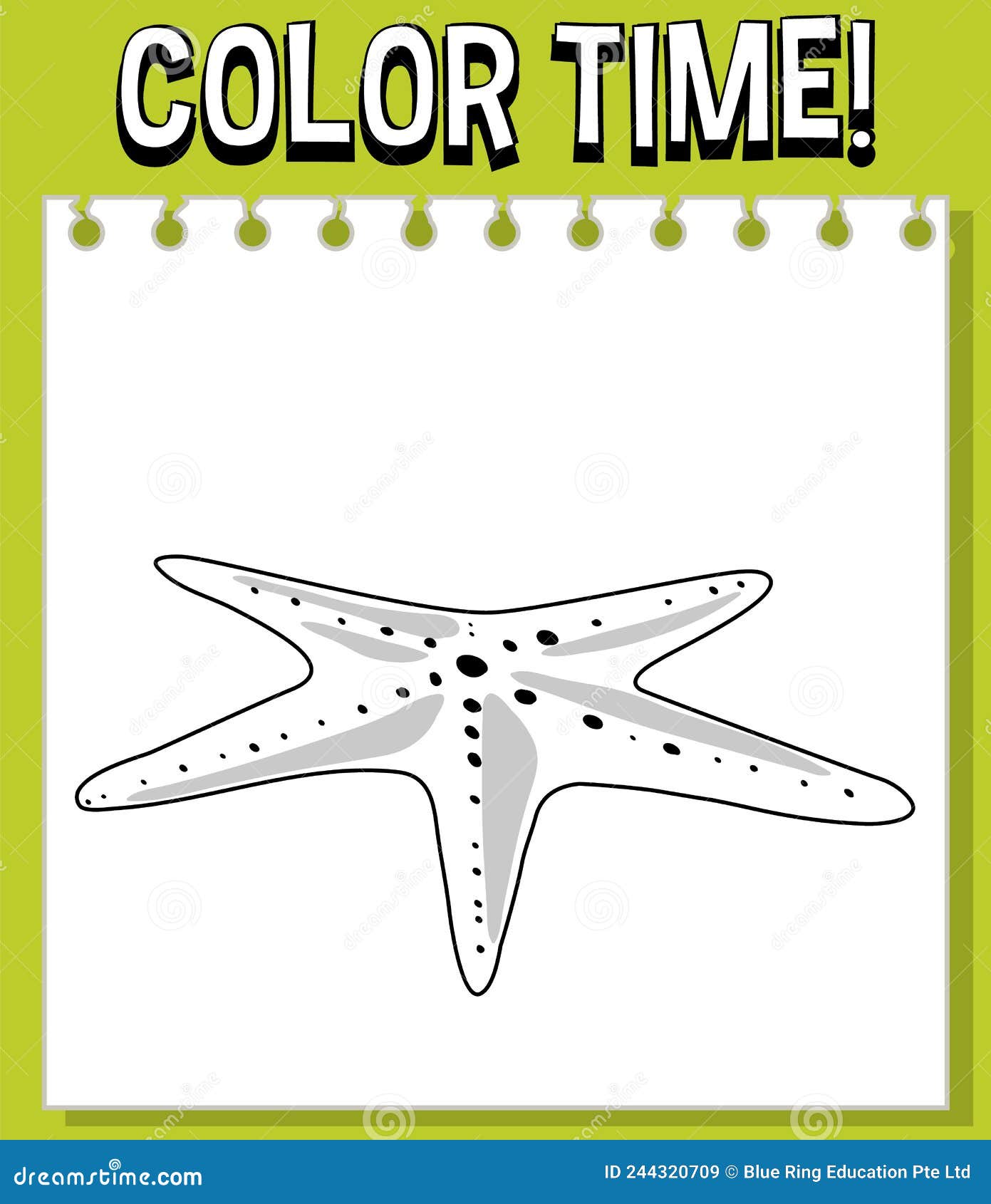 Starfish Outline Template