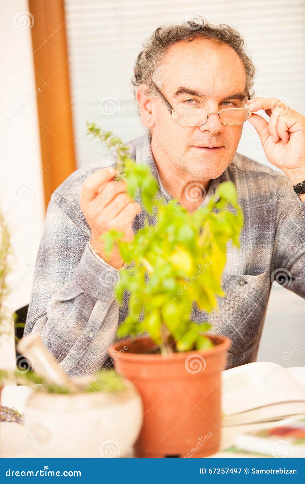 Workshop of Knowing Herbs, Touching and Smelling Basil and Thym ...