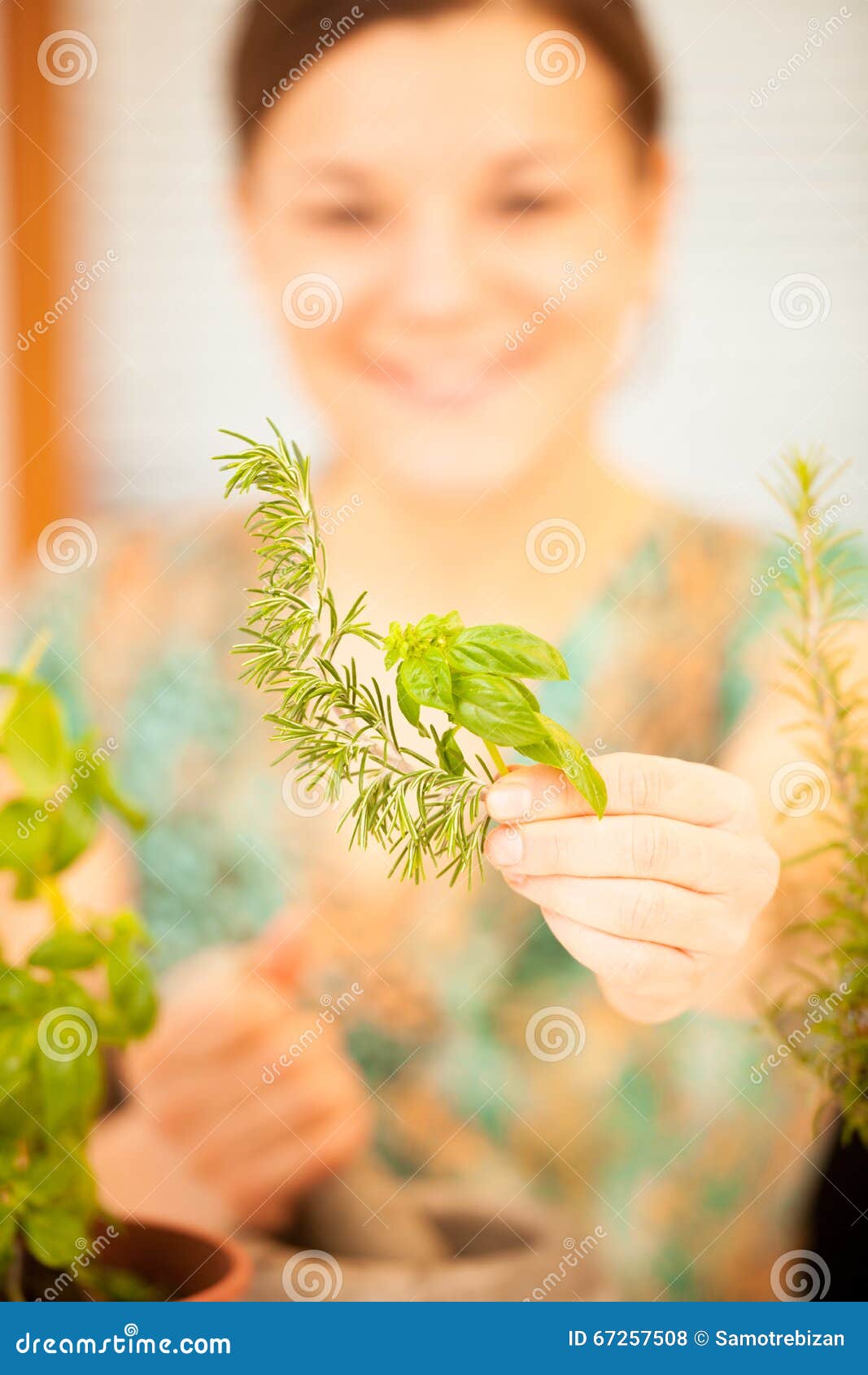 Workshop of Knowing Herbs, Touching and Smelling Basil and Thym ...