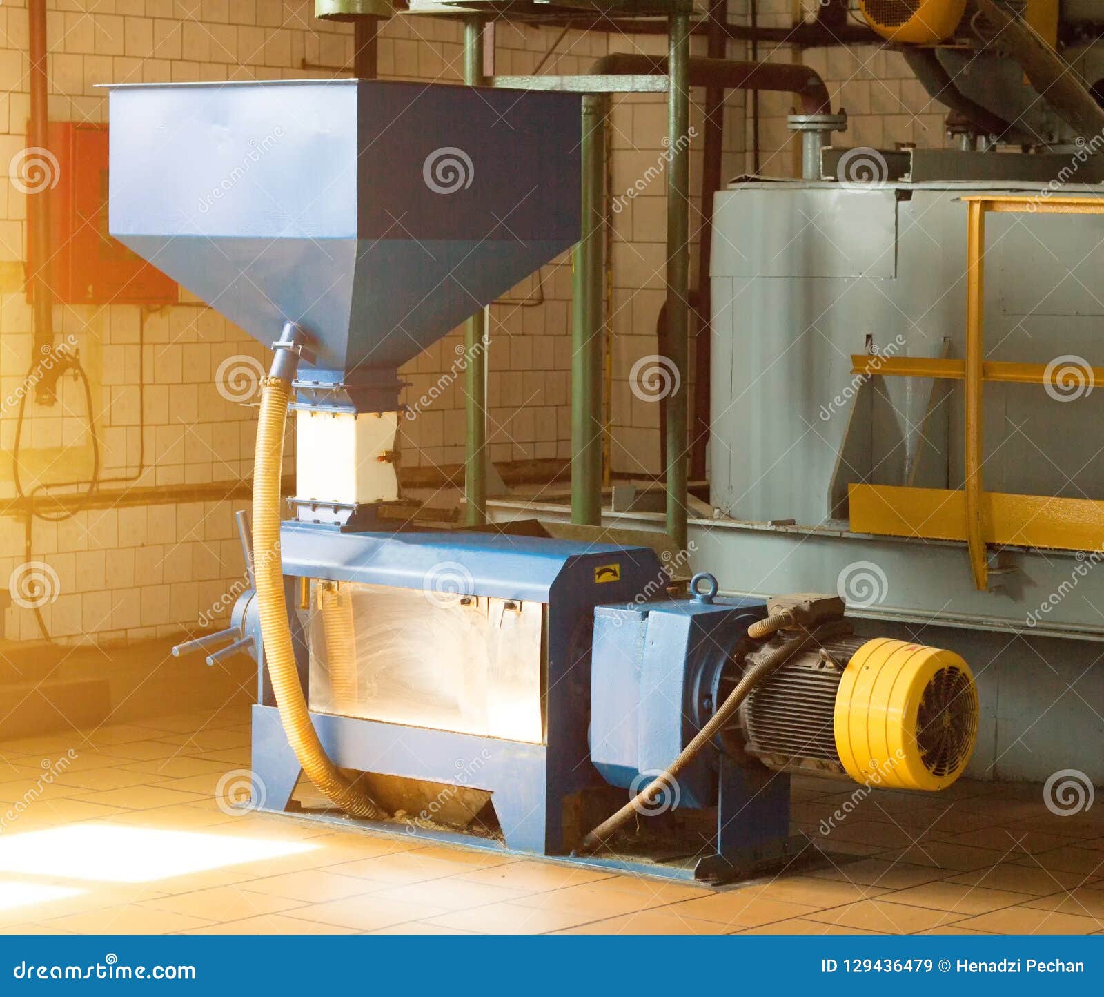 Workshop for the Production and Processing of Oilseed Rape, Biofuel ...