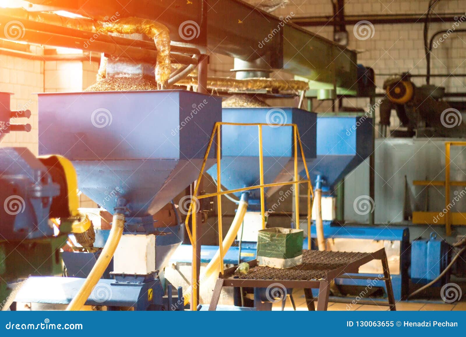 Workshop for the Production and Processing of Oilseed Rape, Biofuel ...