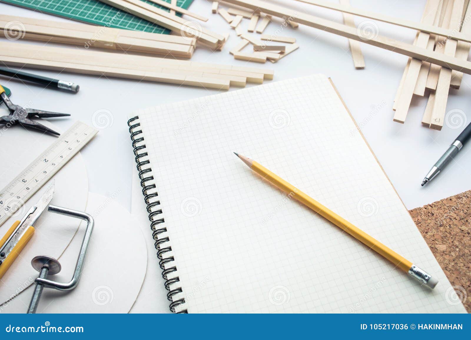 Balsa Wood Tree, Aeschynomene Elaphroxylon, Trees At Baringo Lake In ...