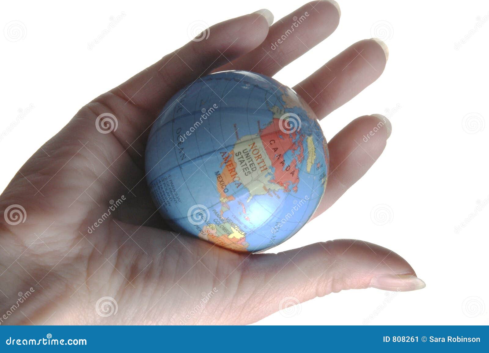 World stock image. Image of palm, global, earth, world - 808261
