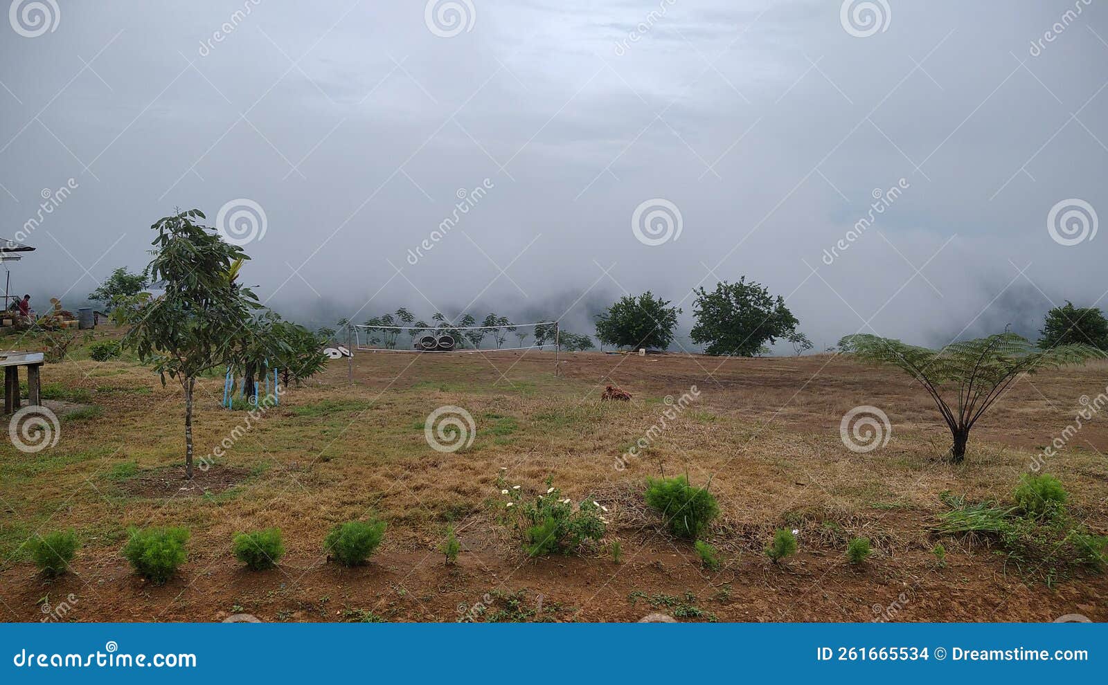 The world above the clouds stock photo. Image of keindahan - 261665534