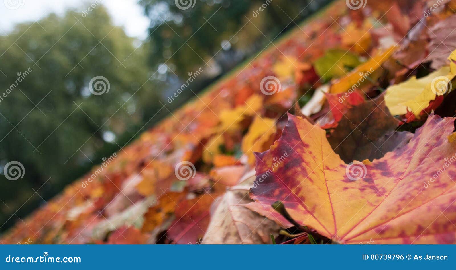 World is changing color stock photo. Image of world, changing - 80739796