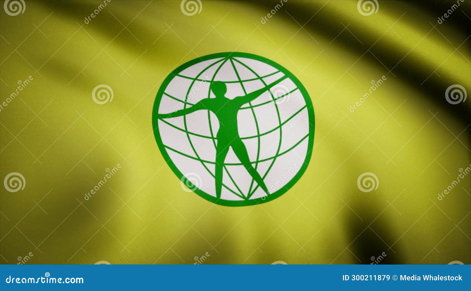 World Citizen Flag Waving on Wind Close-up Stock Video - Video of icon ...