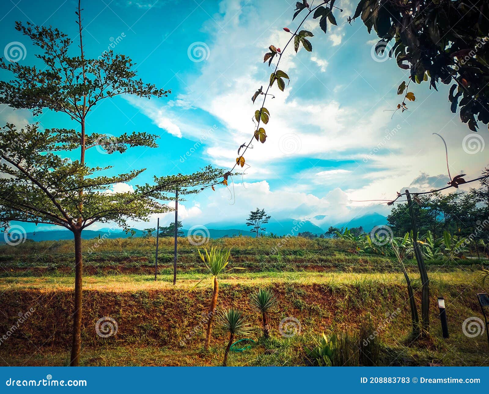 World Color View Panorama Scenery Stock Image - Image of panorama ...
