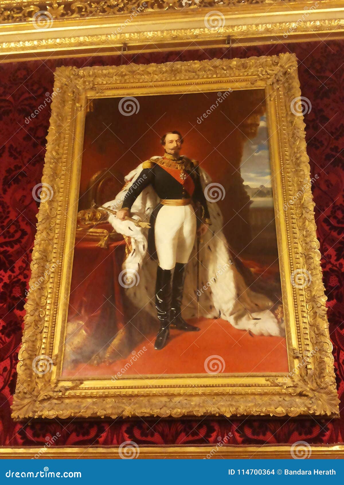 King Napoleon editorial stock image. Image of conqueror - 114700364